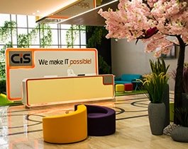 About us | Career at CIS