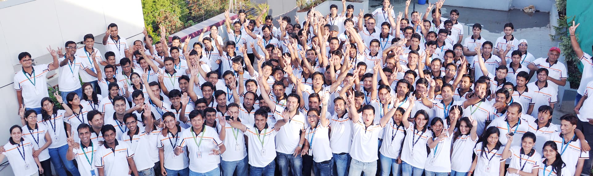 Jobs and Current Openings | Career at CIS
